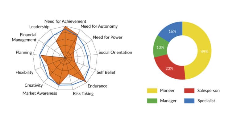 Entrepreneurial Profile. How to describe it?