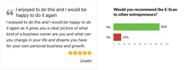 Entrepreneurial Profile. How to describe it?